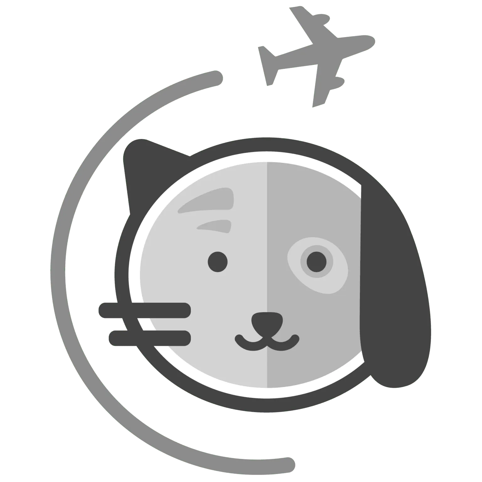 O que é o CVI (Certificado Veterinário Internacional)? | Embarpet - Blog